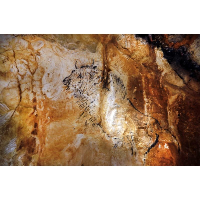 JTL GROTTE COSQUER -SLV PAYS D'AIX *COMPLET* - CMCAS MARSEILLE